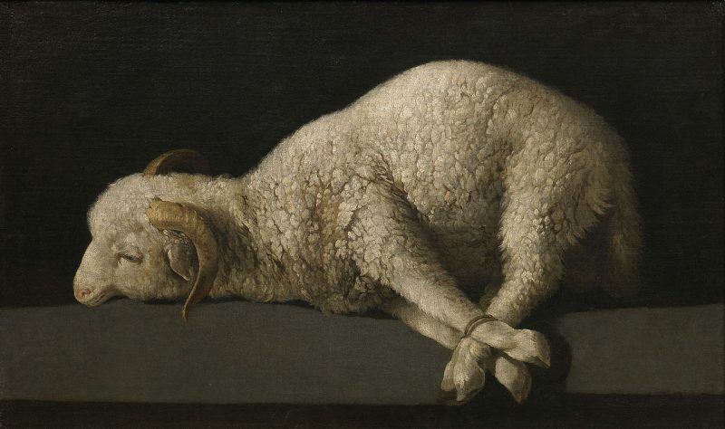Exodus 12:5 Lamb Without Blemish | Advent Bible Study